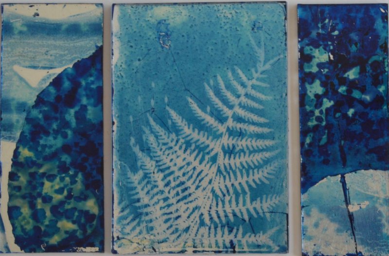 Artwork - Triptych from the installation "My Enclosed Garden by Myriam ...